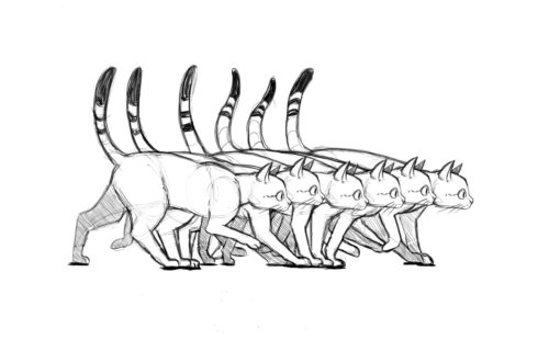 4 PRINCIPLES you need to know TO ANIMATE CAT’S WALKING CYCLE properly ...