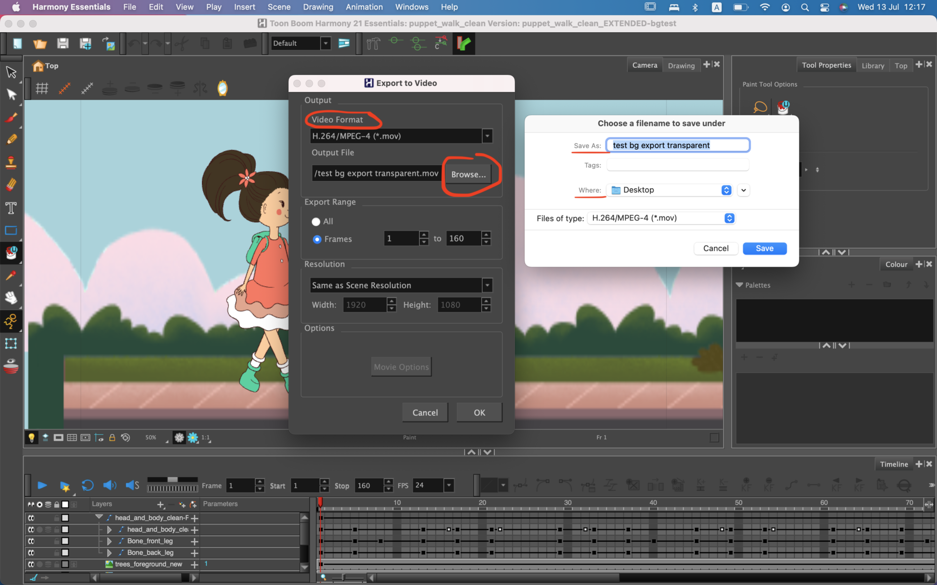 HOW TO EXPORT image sequence, video & gif files WITH TRANSPARENT BACKGROUND in Toon Boom Harmony ...